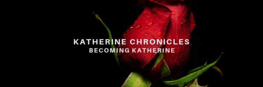 NEW MOVIE! THE KATHERINE CHRONICLES GIVES FANS WHAT THEY WANT – Book of ...